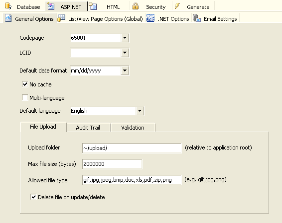 ASP NET Settings